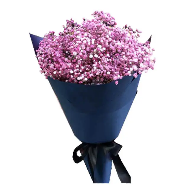 Buket Bunga Baby Breath - Pengiriman Seluruh Indonesia